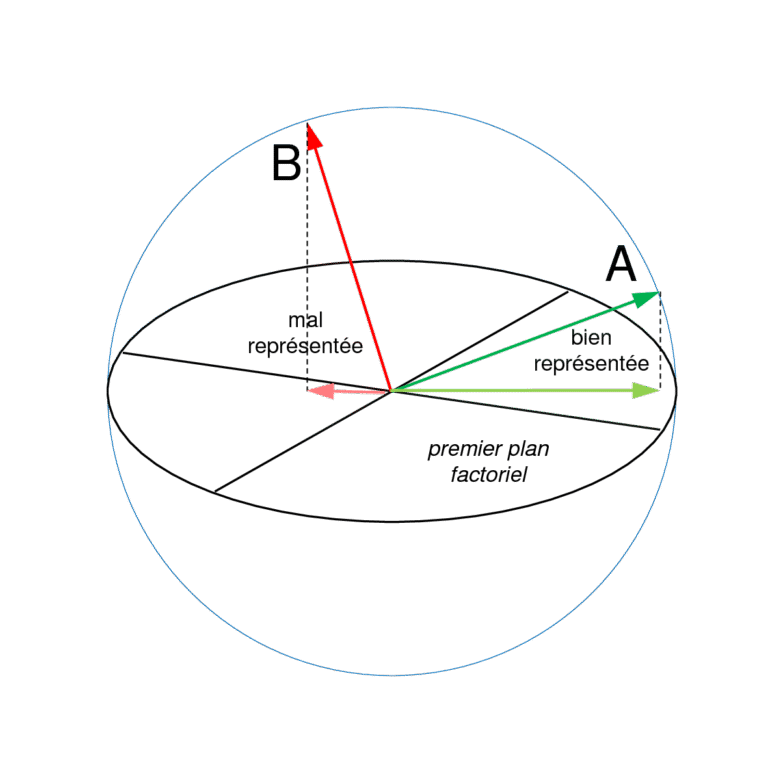 Analyse en composantes multiples (ACM) : définition, méthodes et ...